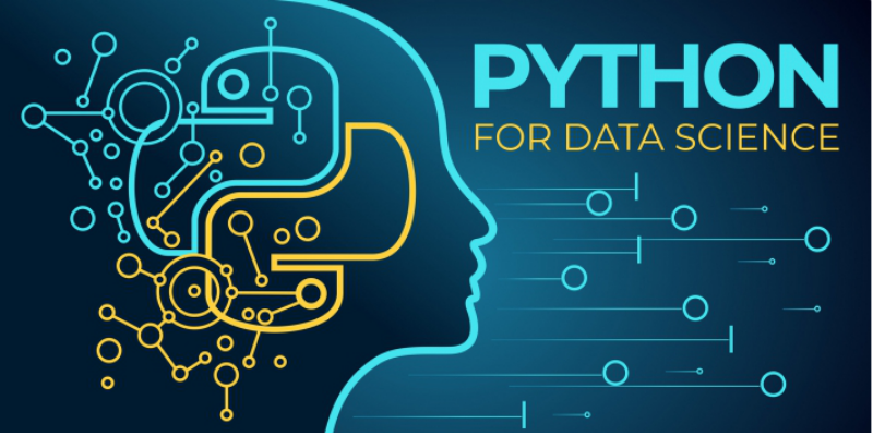 Why Is Python Programming Language Important In Data Science